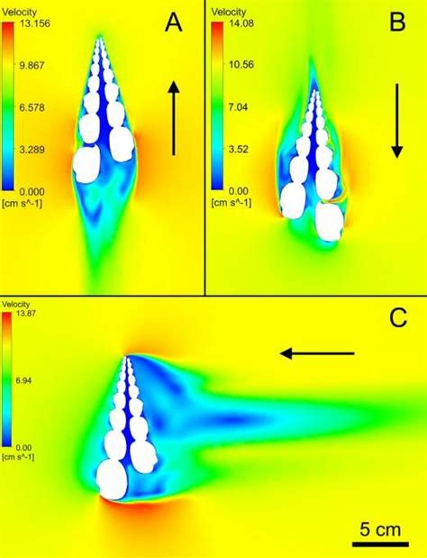 computational fluid dynamics simulations showing cross sections of the download scientific