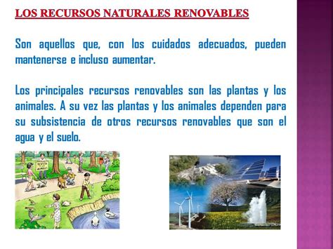 Cuadros Comparativos y sinópticos sobre recursos naturales y su