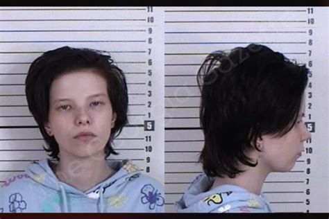Alexis Nichols Camden County Jail Bookings