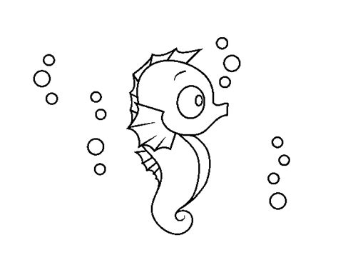 Dibujo De Un Caballito De Mar Para Colorear Dibujos Net