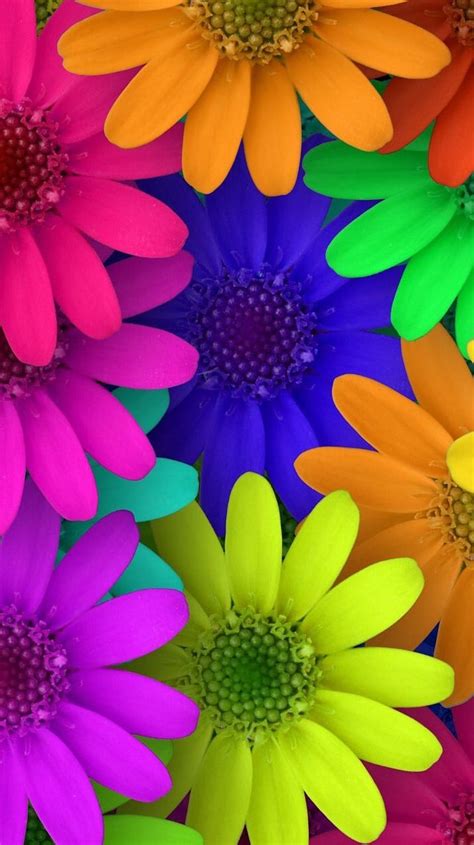 El Top Fondos De Flores Abzlocal Mx