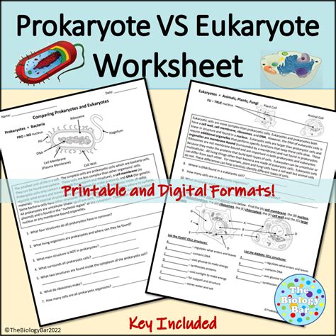 Cells Prokaryotic Vs Eukaryotic Worksheet Made By Teachers