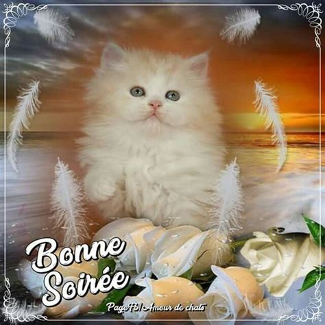 Épinglé par Joëlle Médélice sur BONNE SOIRÉE Image bonne nuit Bonne