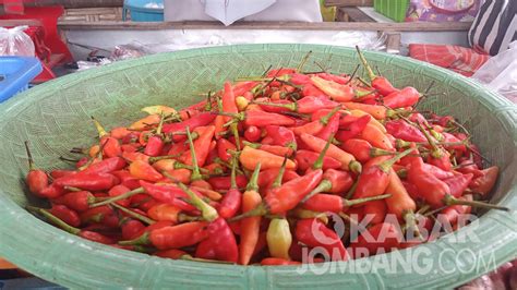Harga Cabai Rawit Semakin Pedas Sepedas Rasanya Tembus Rp Ribu Per