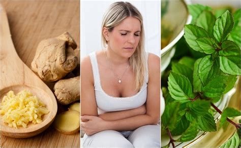 Remedios Caseros Plantas Medicinales Para Curar La Diarrea El Popular