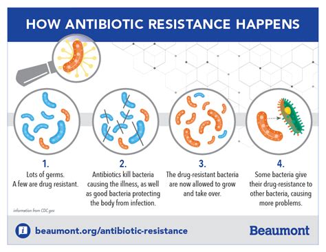 What Is Antibiotic Resistance And Why You Should Care Corewell Health