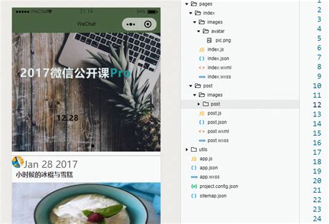 初学《微信小程序开发入门与实践》学习过程中的“坑”与收获 《微信小程序开发入门与实践》的阅读体会 csdn博客