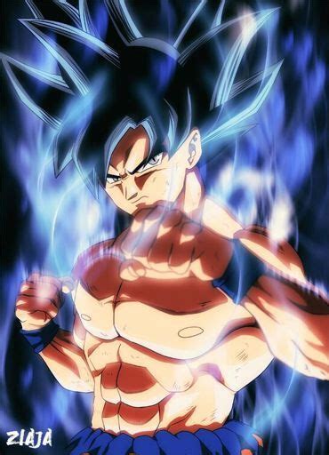 Instinto Superior 身勝手の極意 Wiki Dragon Ball Oficial Amino