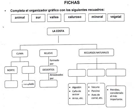 Completa El Organizador Grafico Con Los Siguientes Recuadros Brainly Lat