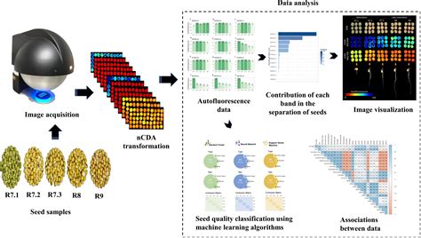 frontiers a reliable method to recognize soybean seed maturation stages based on