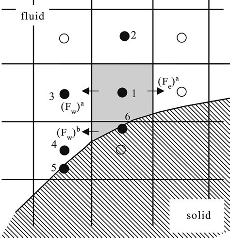 immersed boundary method for multiphase transport phenomena