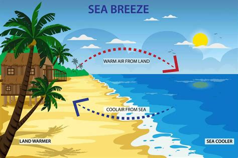 Sea Breeze Blows From Sea To Land During The Day 23929488 Vector Art At