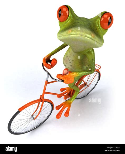Frog On A Bike Ubicaciondepersonas Cdmx Gob Mx