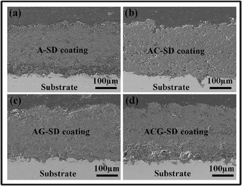 FE SEM Images Of The Cross Sectional Surface Of A A SD B AC SD