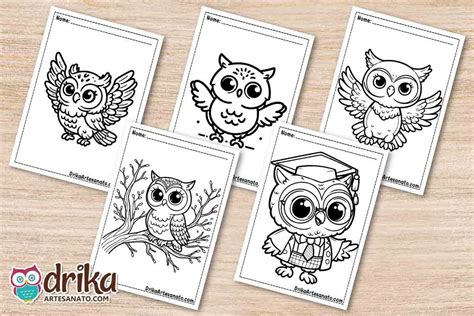 50 Desenhos de Coruja para Colorir Grátis em PDF
