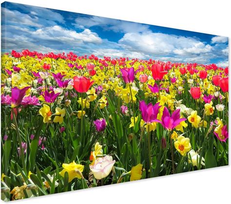 Printedwall Obraz na płótnie kwiaty tulipany łąka Nowoczesny na ścianę
