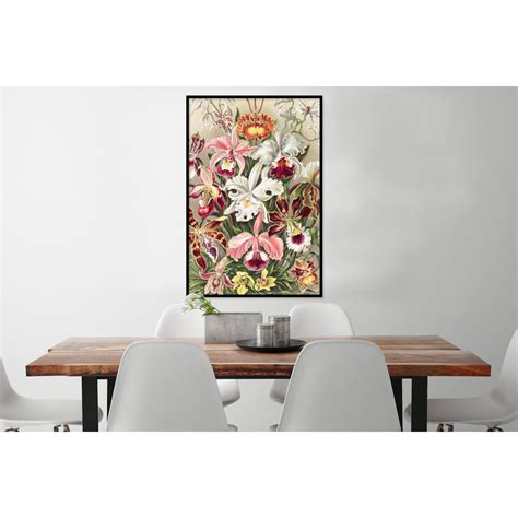 MuchoWow Poster encadré Fleurs Ernst Haeckel Vintage Orchidée