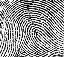 Forensic Science Exam Flashcards Quizlet