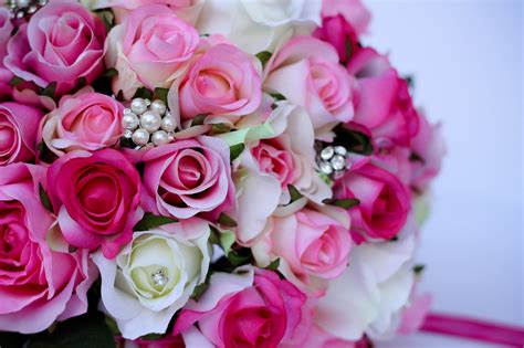 Rosen Rosa Pinke Blumen Kostenloses Foto Auf Pixabay Pixabay