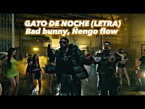 Bad Bunny Engo Flow Gato De Noche Letra Lyric Youtube