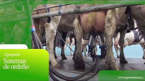 Sistemas De Orde O Agro En Minutos Youtube