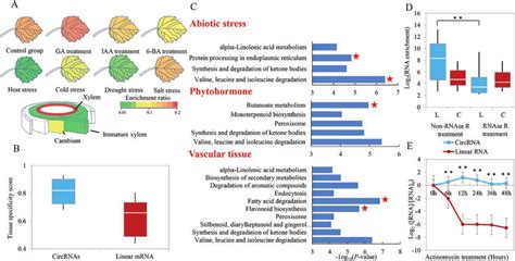 expression pattern and functional annotation of circrnas in poplar a download scientific