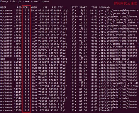 linux进程的三种基本状态 linux 怎么样查看进程状态 包括占用内存和cpu csdn博客