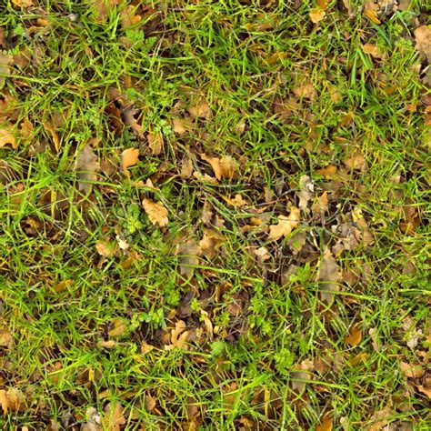 Forest Soil Seamless Texture Stock Photo Colourbox