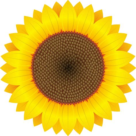 Recopilaci N Imagen Girasoles En Png Abzlocal Mx