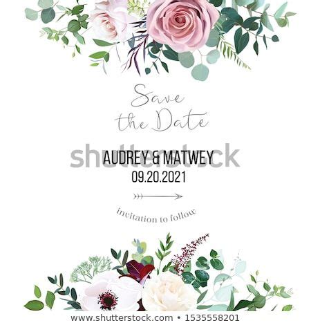 Dusty Pink Rose Pale Flowers White Stock Vector Royalty Free