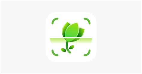 Plant Identifier AI On The App Store