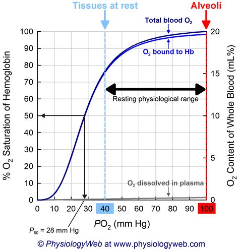 oxygen dissociation curve of haemoglobin is