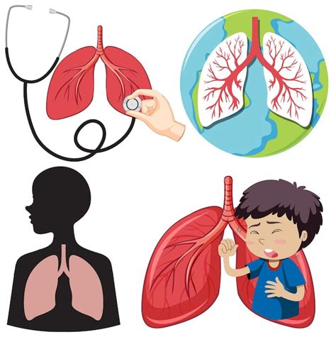 Conjunto De Iconos De Pulm N Humano Para Dise Os M Dicos Y De Salud