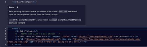 cat photo app step 15 html css the freecodecamp forum