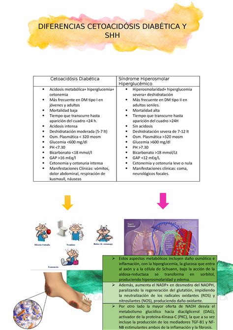 Mecanismos Semana 12 Trabajo Cetoacidósis Diabética Síndrome
