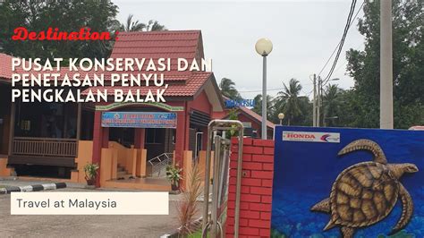 Pusat Konservasi And Penetasan Penyu Pengkalan Balak Melaka YouTube