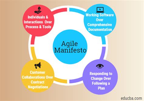 agile values and principles complete guide to agile values and principles