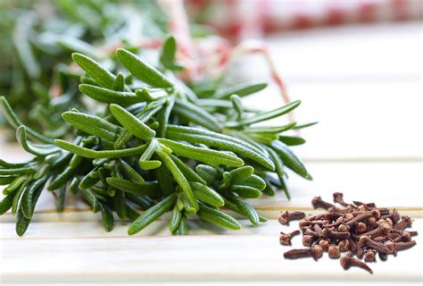 How To Make Clove And Rosemary Water For Hair Growth Chicago Land