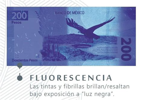 Estos Son Los Elementos De Seguridad Del Nuevo Billete De 200 Pesos