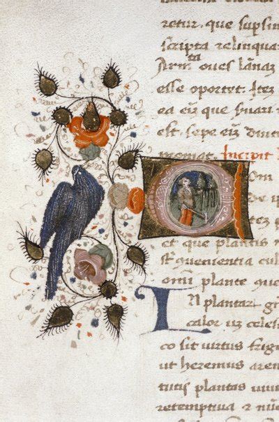 Liber Ruralium Commodorum Europeana