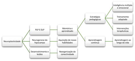 NEUROPLASTICIDADE E APRENDIZADO AO LONGO DA VIDA DESMISTIFICANDO O