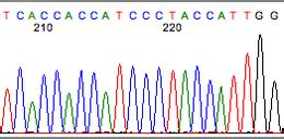 Addgene Protocol How To Perform Sequence Analysis