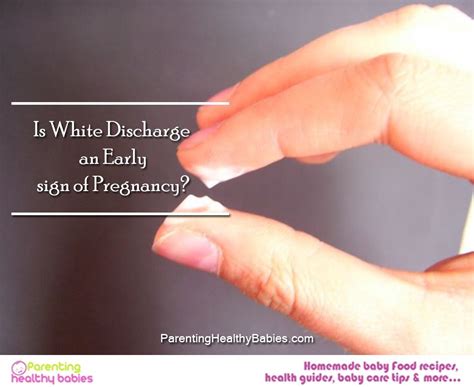 Is White Discharge An Early Sign Of Pregnancy Early Pregnancy Signs
