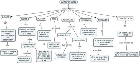 Mapa Conceptual Sobre Microscopio Brainly Lat