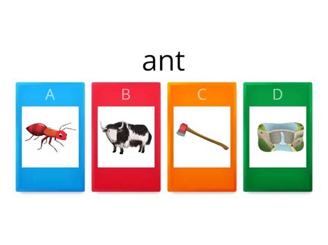 Oxford Phonics World 2 Unit 1 Quiz