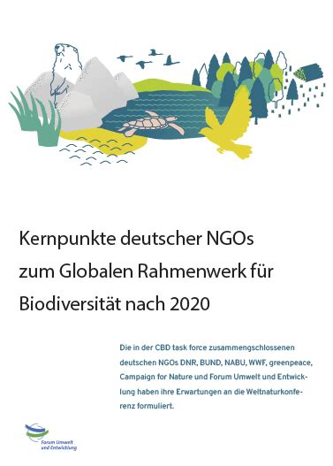 Forum Umwelt Entwicklung Kernpunkte Deutscher NGOs Zum Globalen