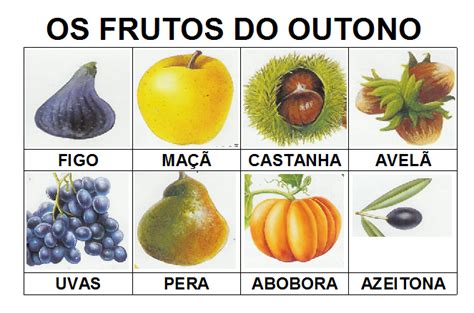 Resultado De Imagem Para Frutos Outono Rvores De Outono Outono