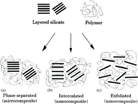 Possible Structures Of Polymer Nanocomposites Using Layered Nanoclays