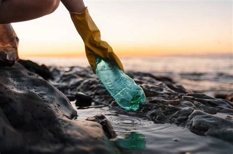Cleanup Day Comes To Philippine Capital S Polluted Bay