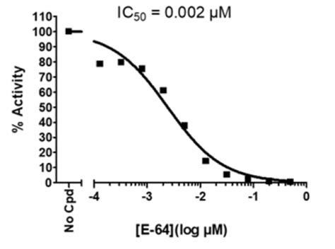 Cathepsin B Inhibitor Screening Assay Kit Bps Bioscience Biomol